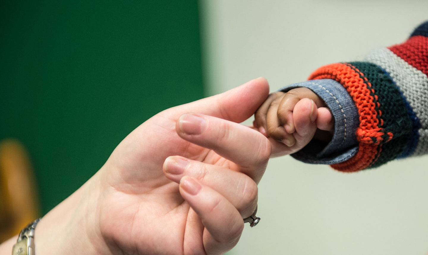 Our Partners - Blue Meridian Partners